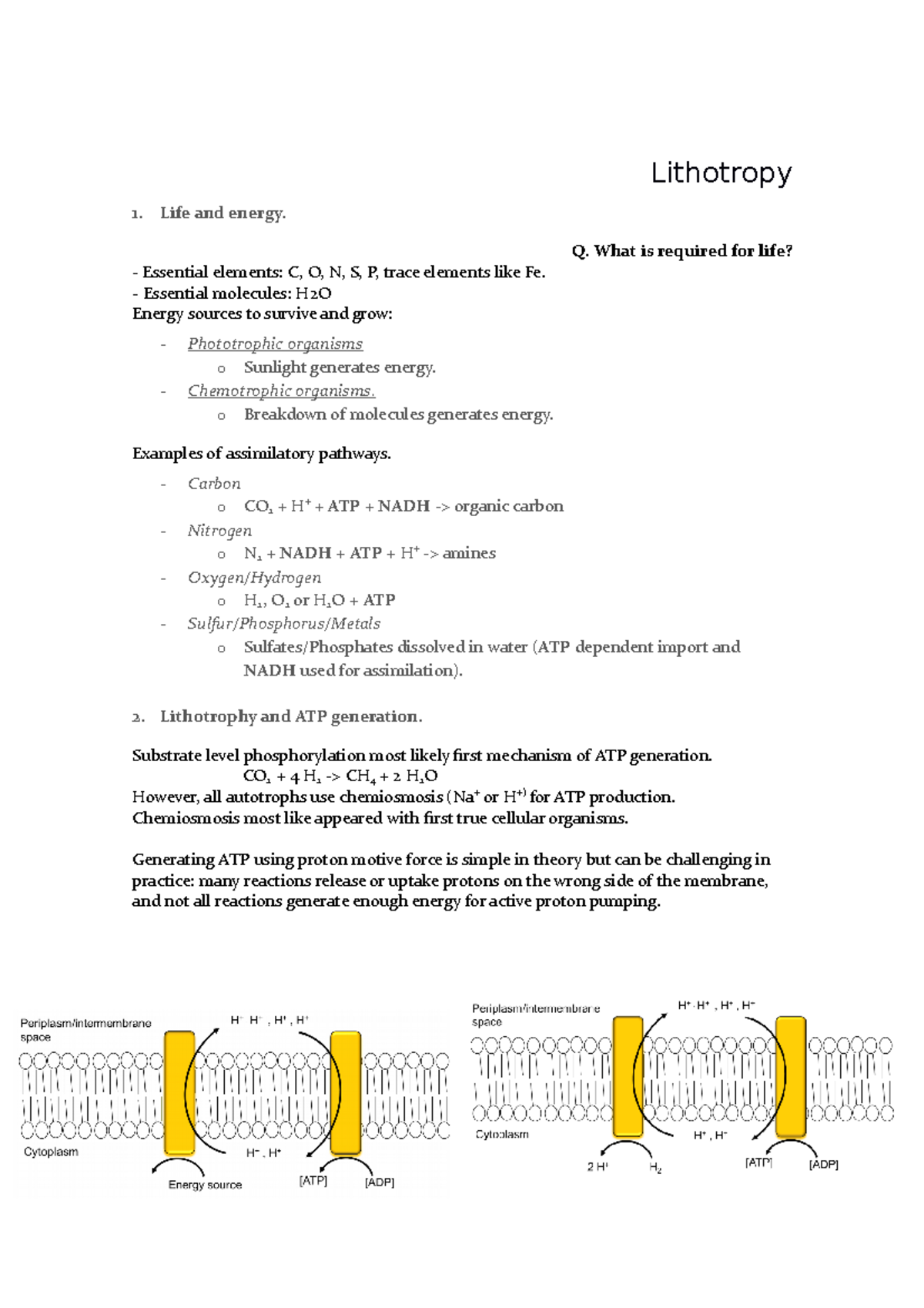 15. Lithotrophy. - Lithotropy 1. Life and energy. Q. What is required ...