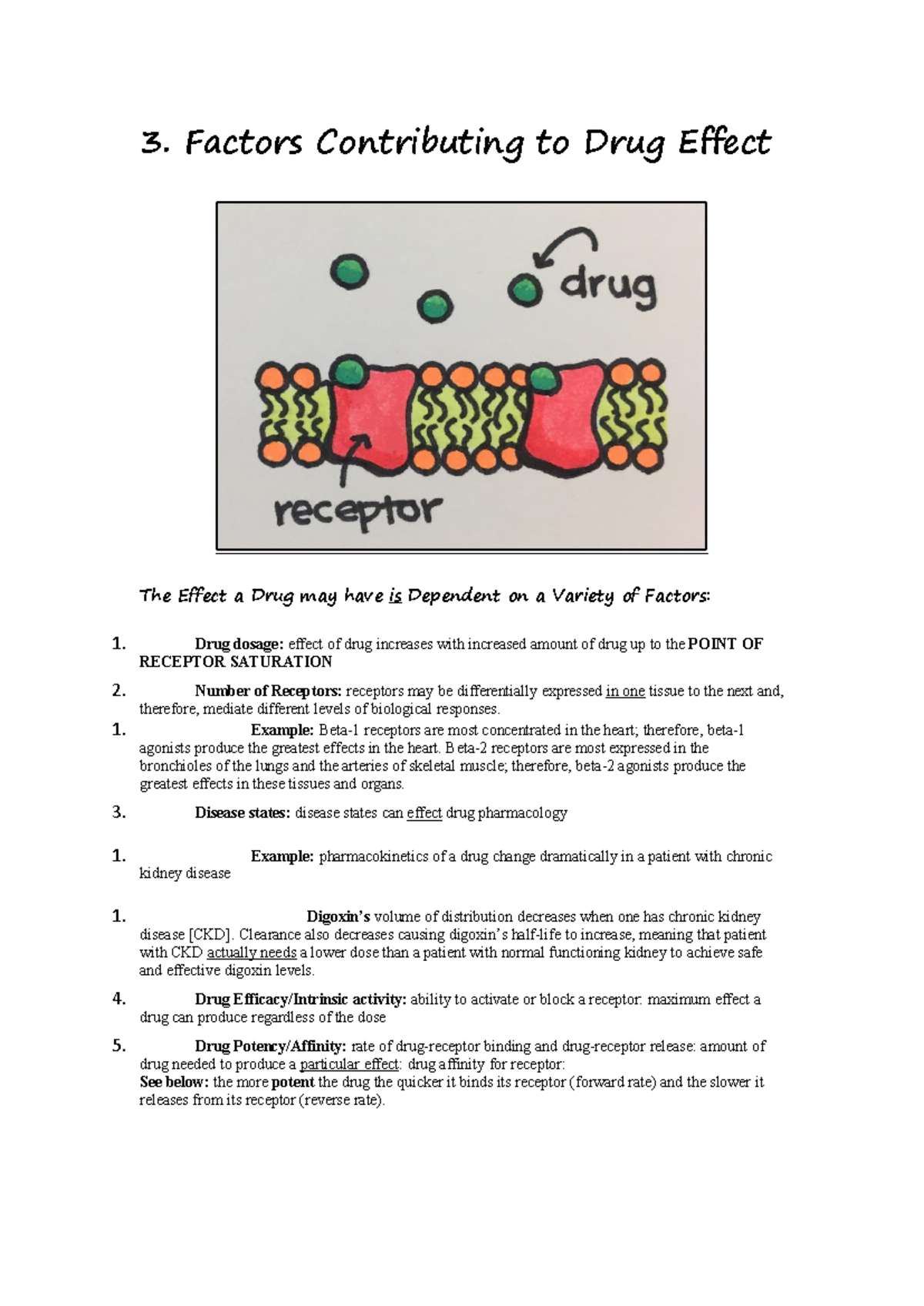 Factors conribute to drug effect - 3. Factors Contributing to Drug ...