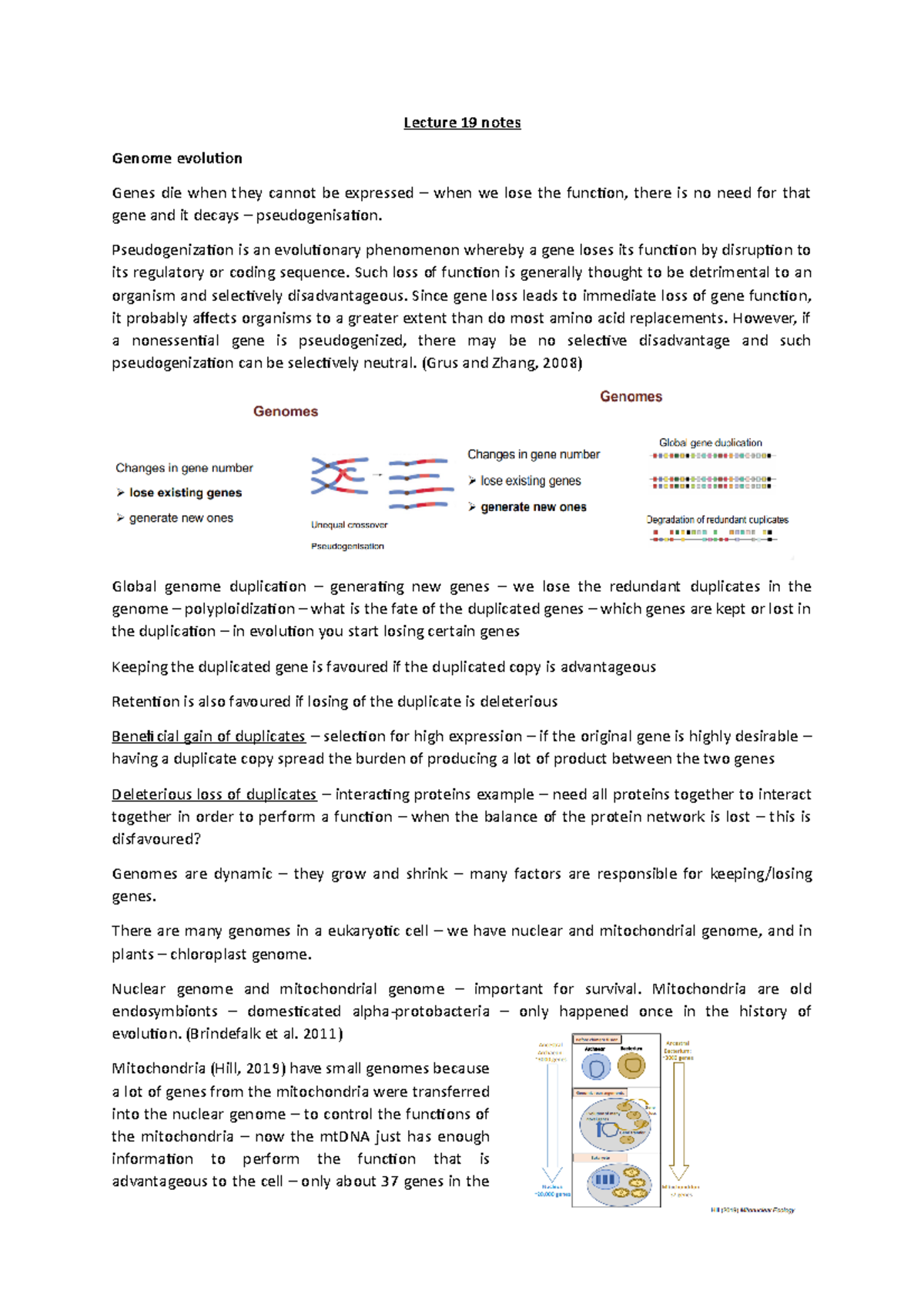 Lecture 19 notes - Genome evolution - Lecture 19 notes Genome evolution ...