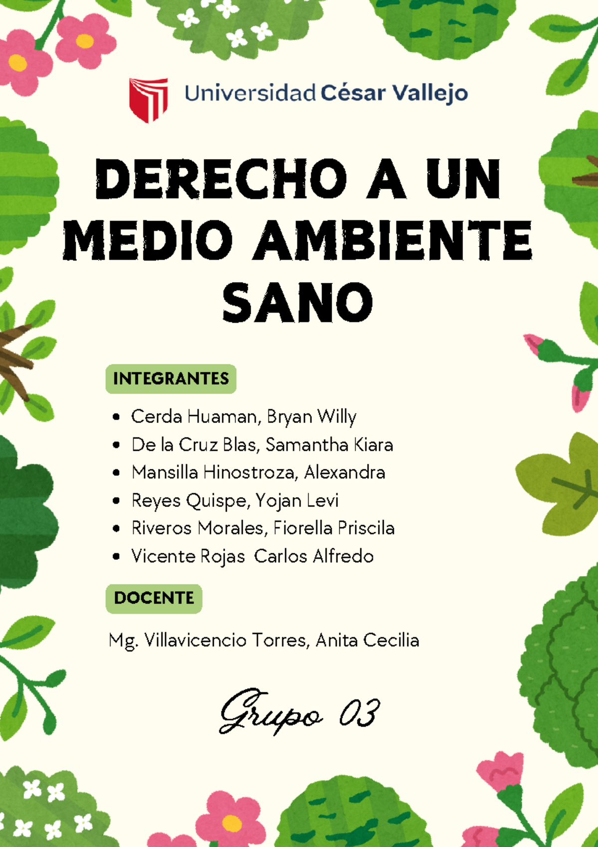 Derecho a un medio Ambiente sano - Constitución y Derechos Humanos ...