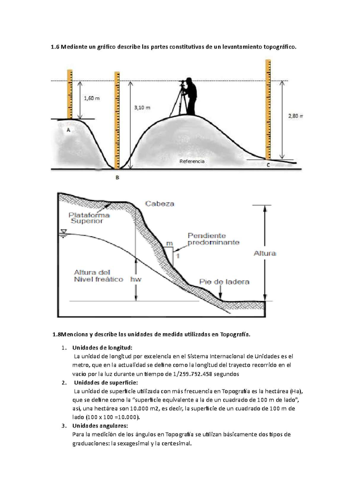Topo - TOPO - 1 Mediante un gráfico describe las partes constitutivas ...