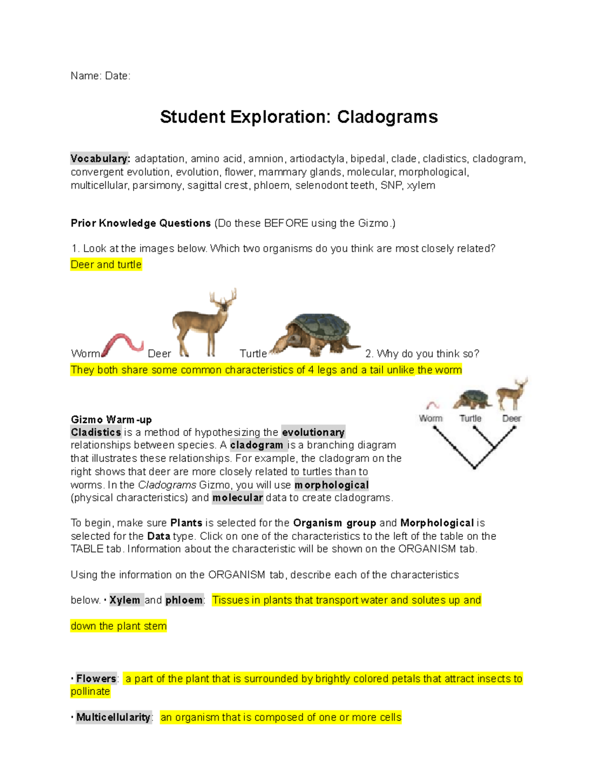 Cladograms Gizmo - Name: Date: Student Exploration: Cladograms ...