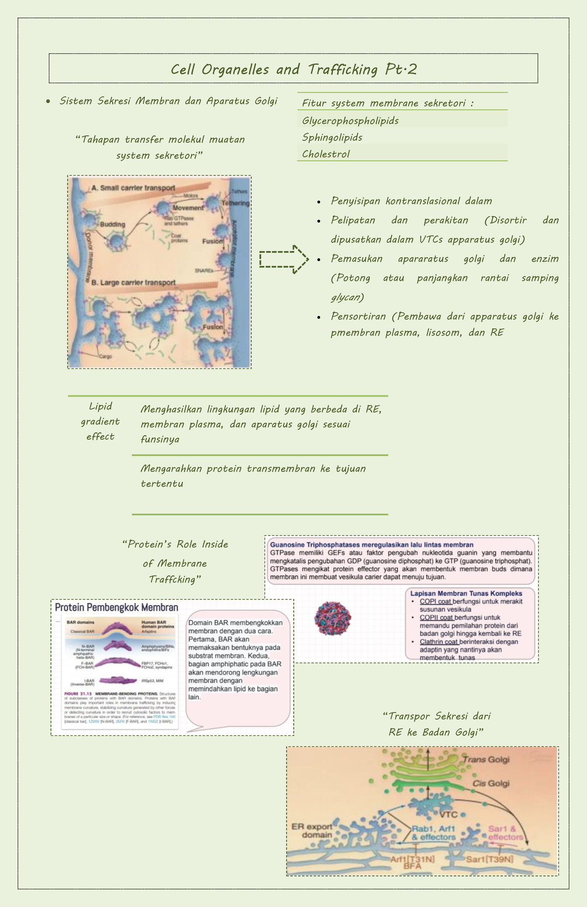 Cell Organelles and Trafficking Pt.2 - Sistem Sekresi Membran dan ...