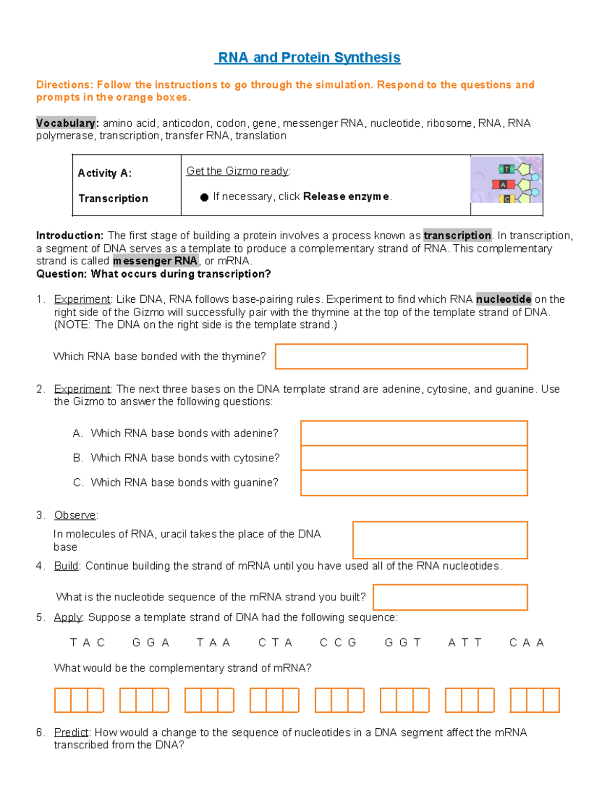 Protein Synthesis Gizmo - RNA and Protein Synthesis Directions: Follow ...