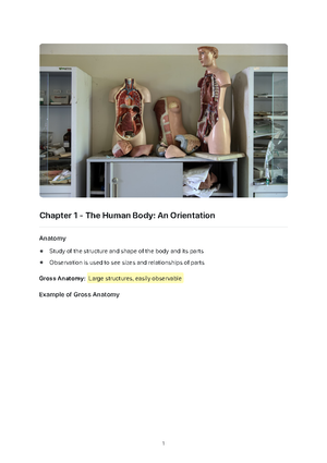 Chapter 16 - Reproductive System - Essentials of Anatomy and Physiology ...