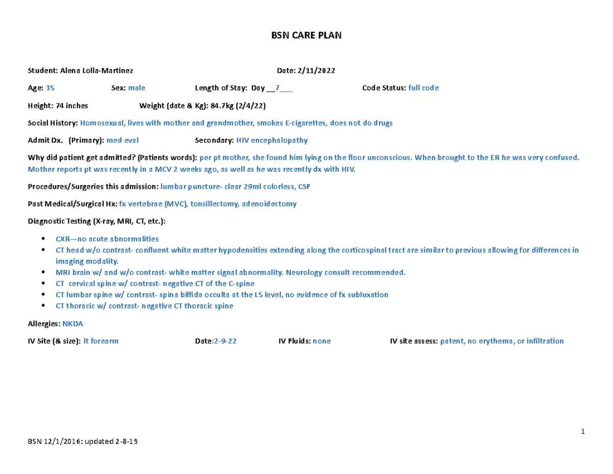 care plan example and template of what you need for a nursing document ...