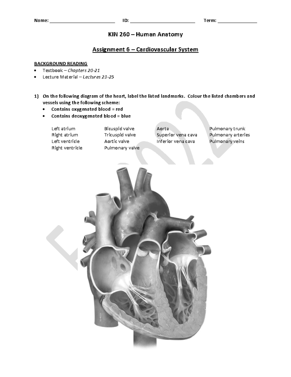 Assignment-6-1 - ANATOMY - Name: _________________________ ID ...
