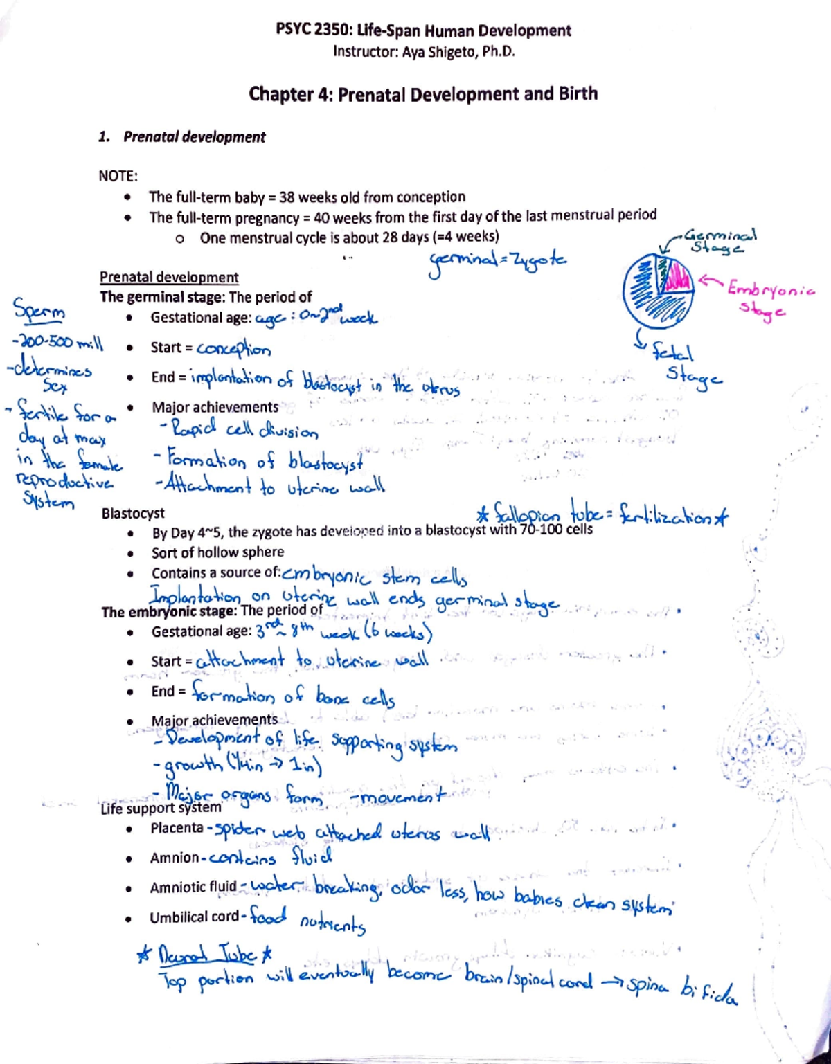 Life span chapter 4 notes - PSYC 2350: Human Development Instructor ...