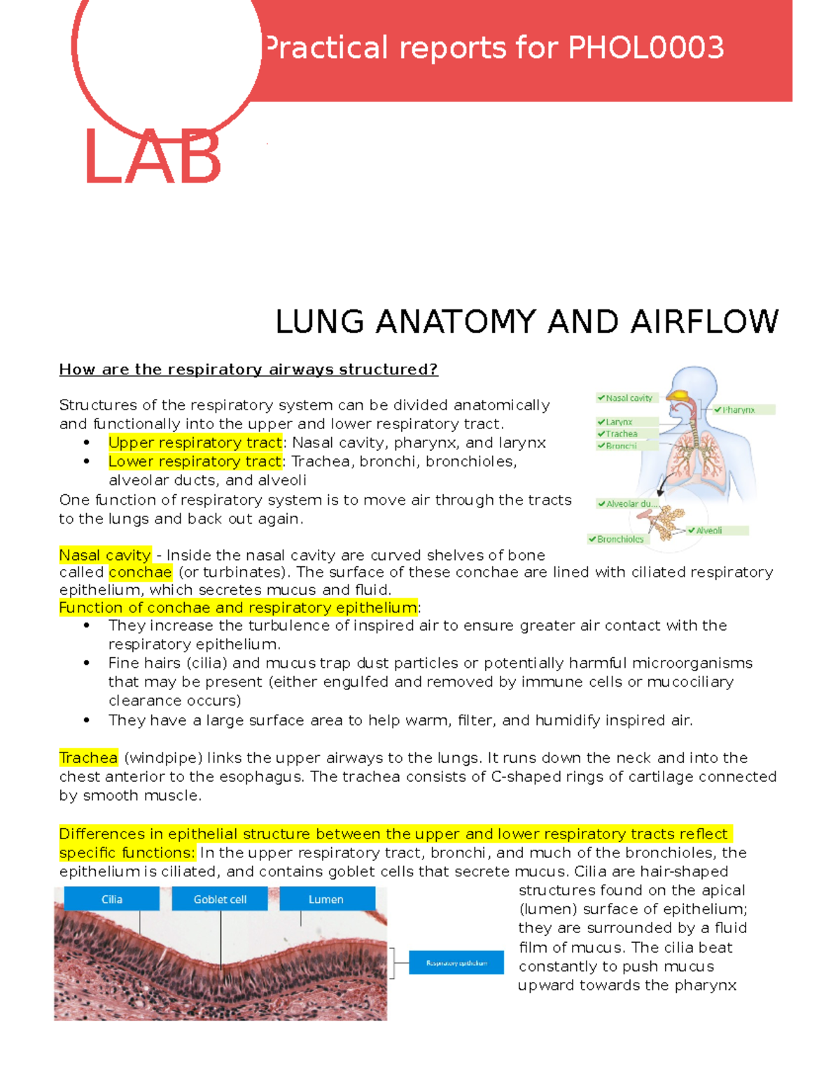 Lab note for practical (virtual lab) - Practical reports for PHOL LUNG ...