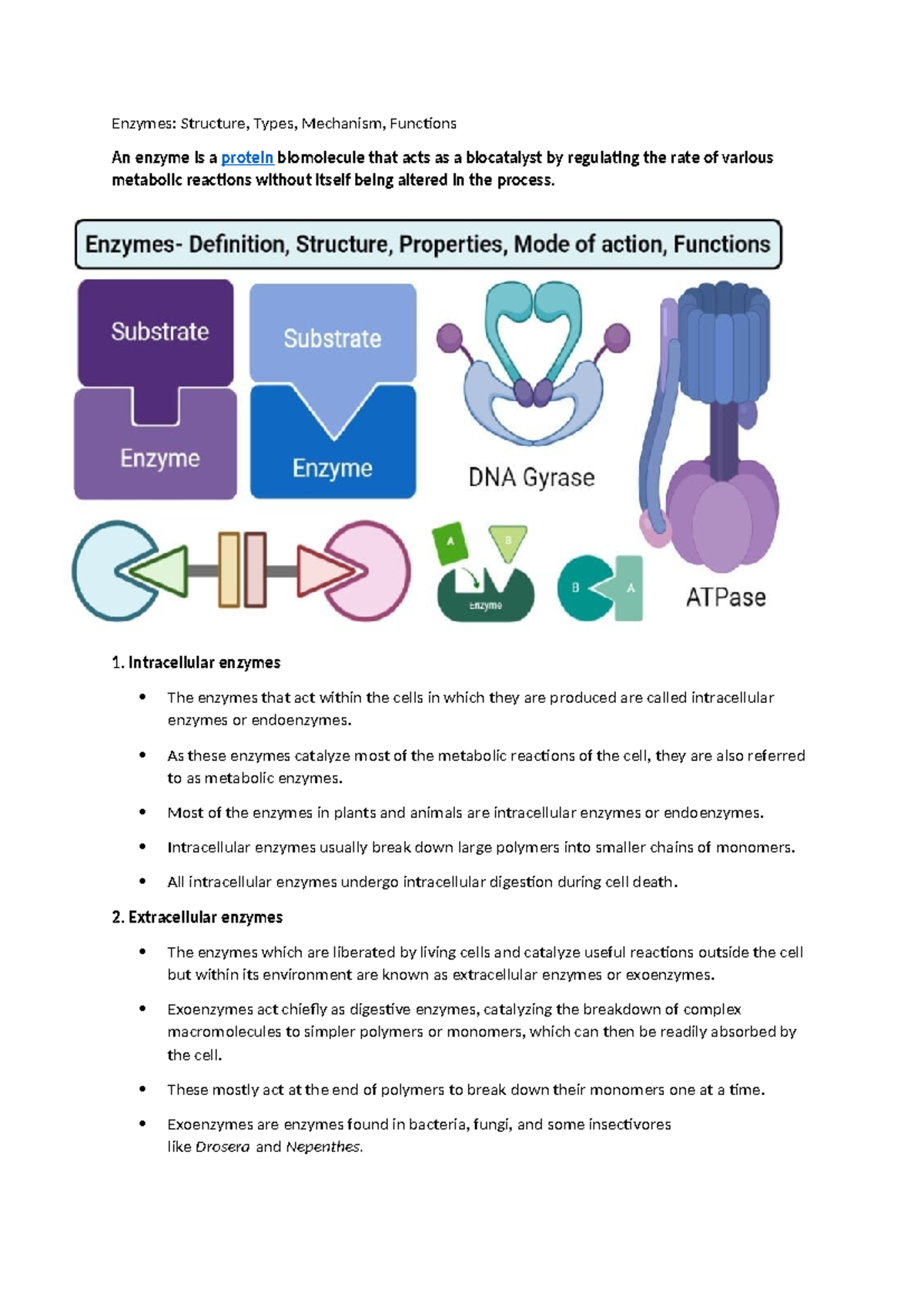 Enzymes - biochemistry lecture - Enzymes: Structure, Types, Mechanism ...