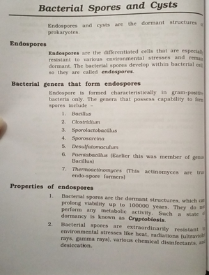 Germination of spore - great - Germination of Spore Transformation of ...