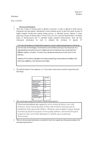 The Chromosomal Basis Heredity - THE CHROMOSOMAL BASIS HEREDITY The ...