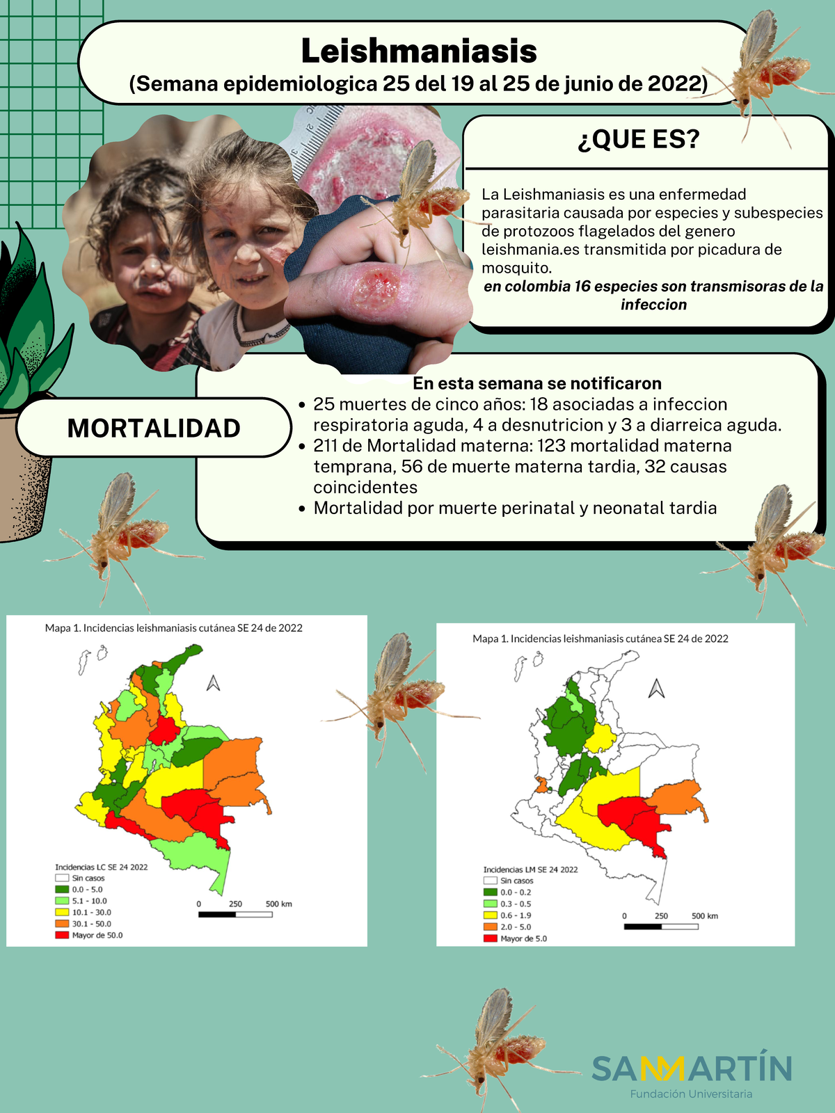 Leishmaniasis - Leishmaniosis - MORTALIDAD Leishmaniasis (Semana ...
