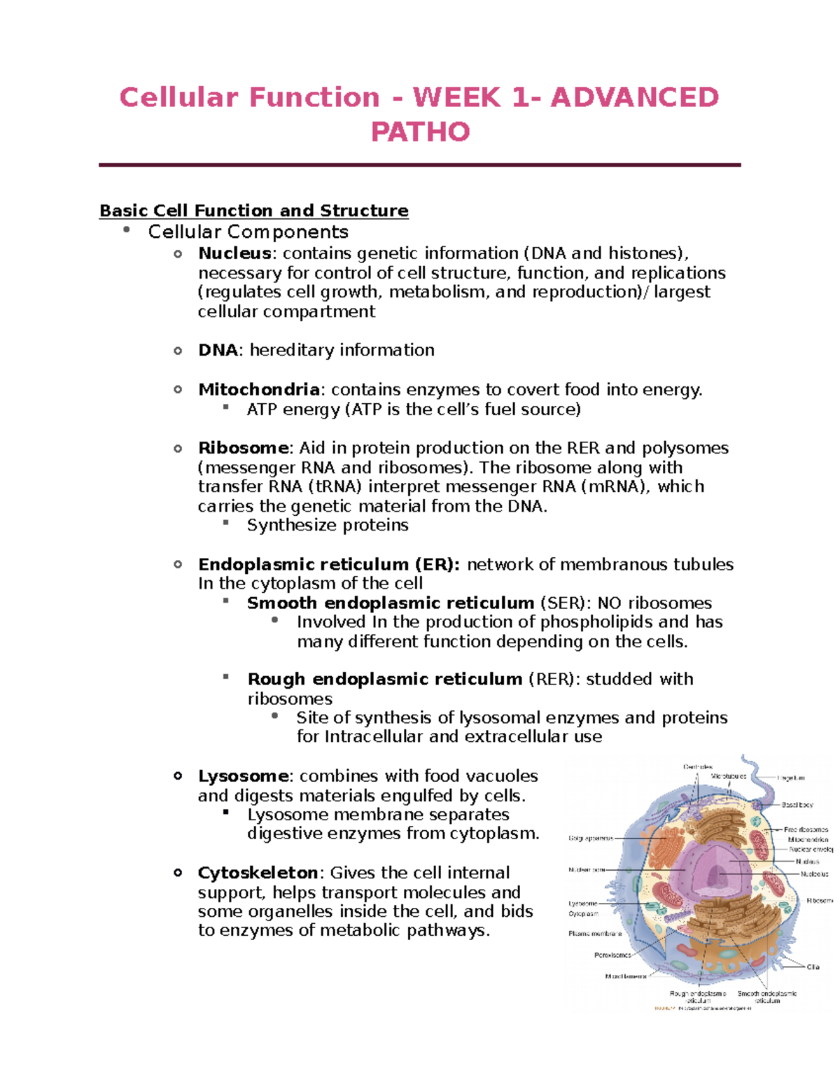 Focus Points WEEK 1 - Chapter 1 and chapter 2 notes - Cellular Function ...