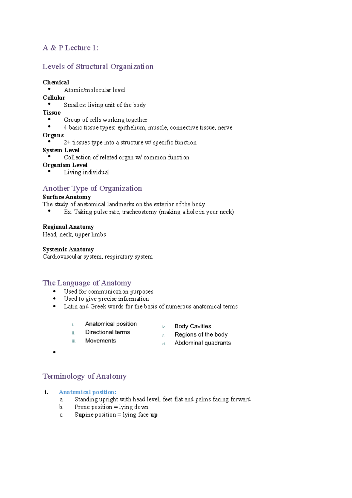 Unit 1 - NURS anatomy and physiology - A & P Lecture 1: Levels of ...