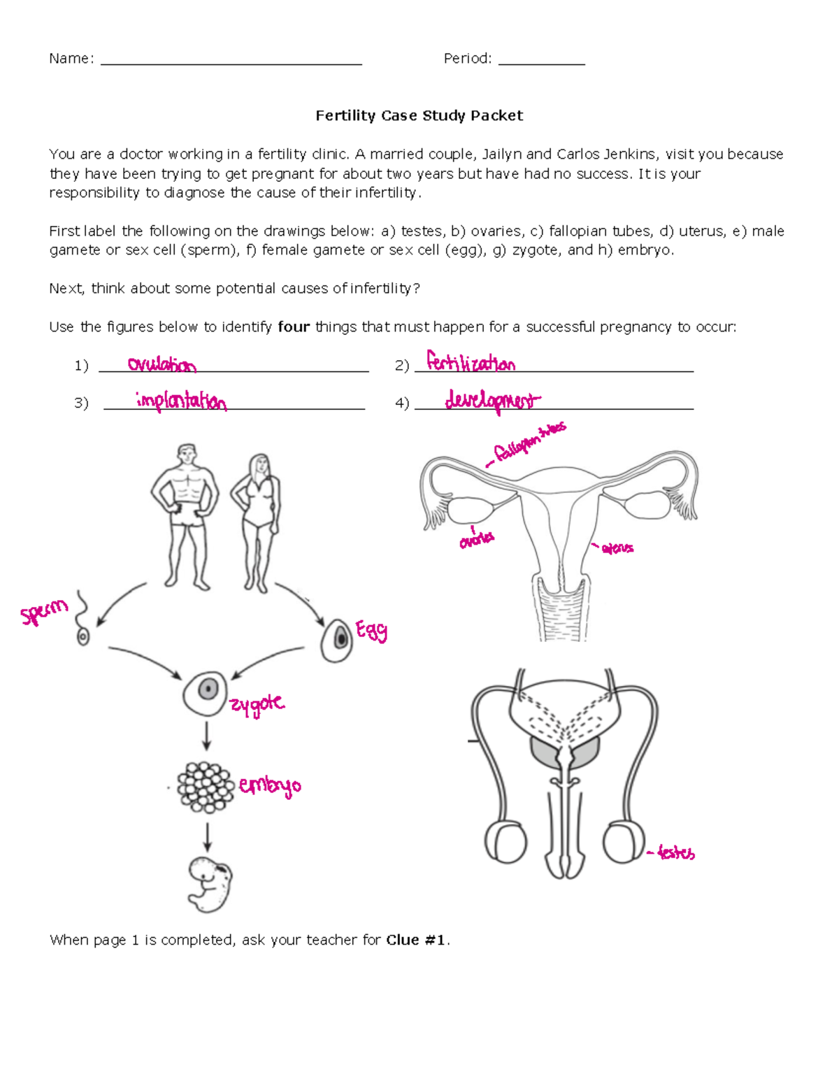 Case Study Packet 810 - Name: ______________________________ Period ...