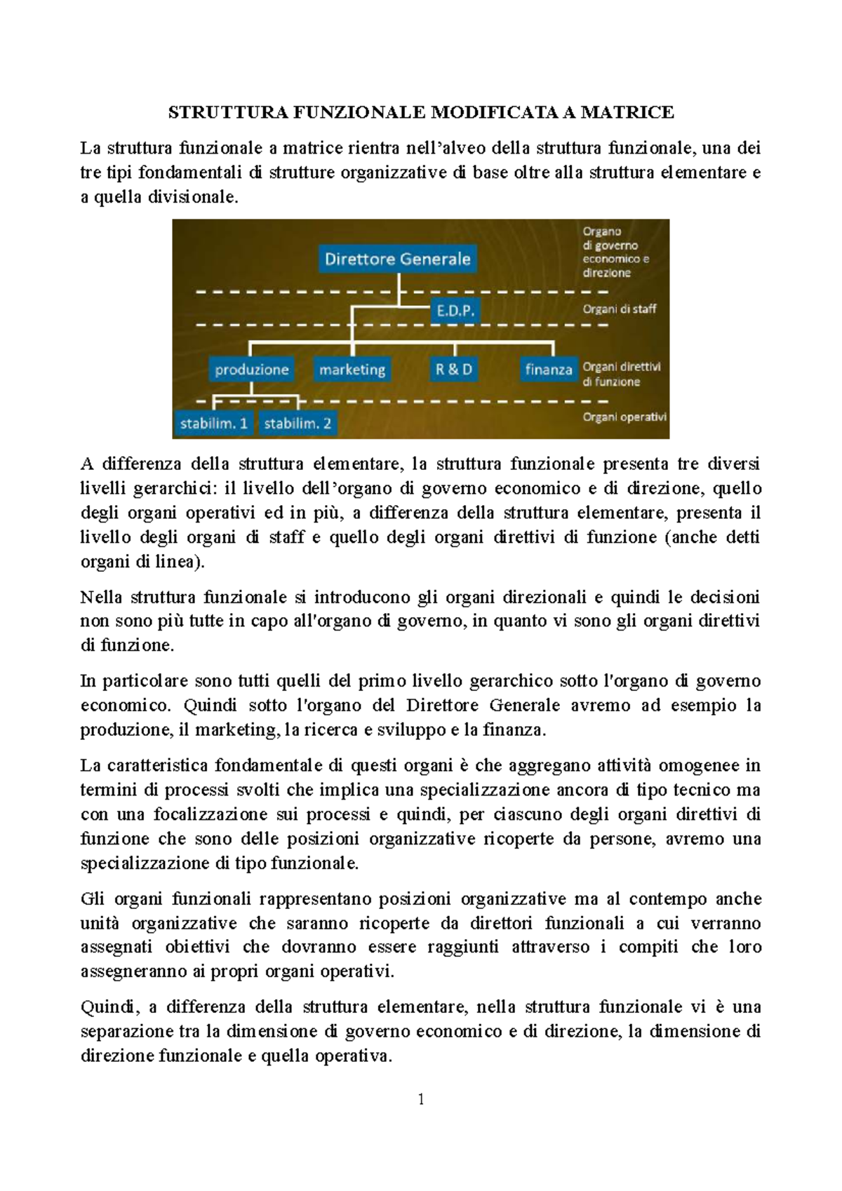 Struttura Funzionale Modificata A Matrice - STRUTTURA FUNZIONALE ...