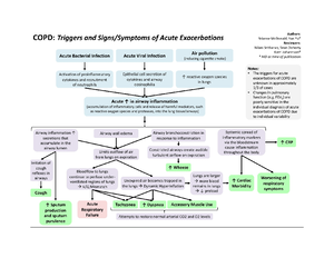 Acute Pancreatitis Concept Map - NUR1129 - Studocu