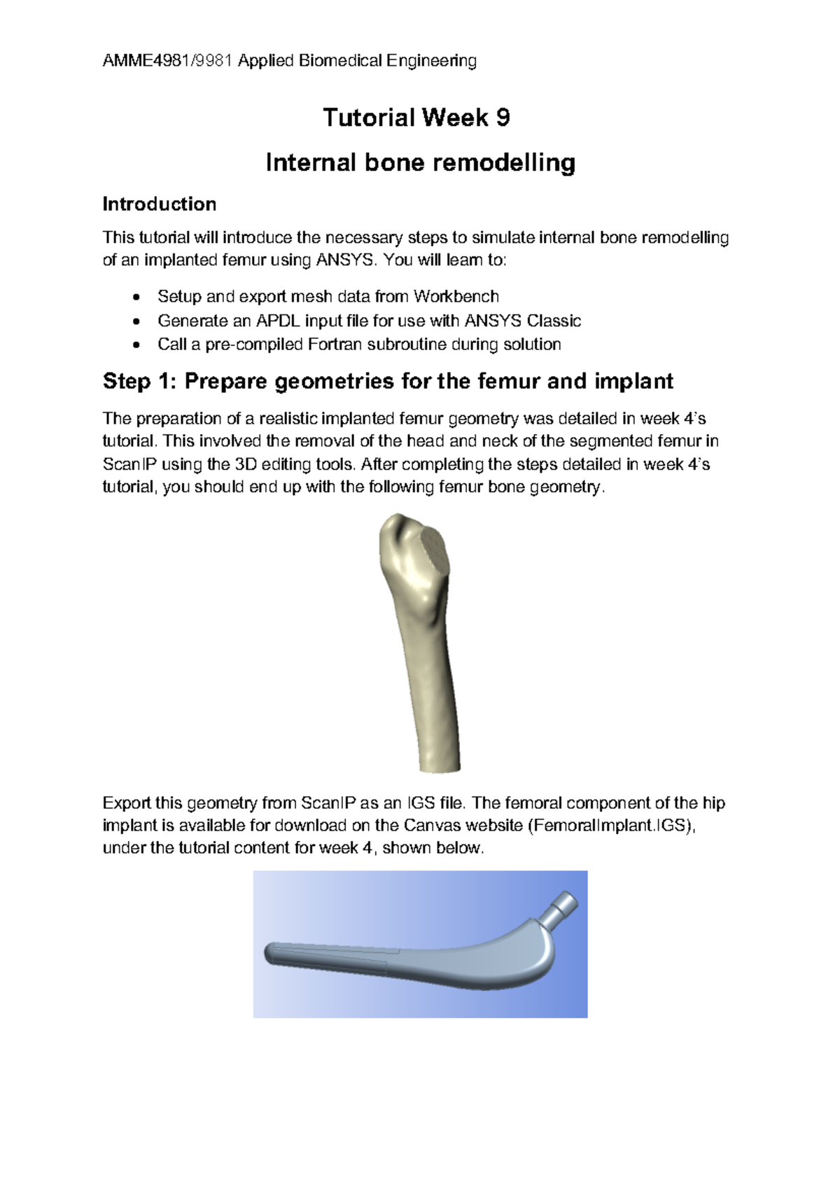 Tutorial Week 9 Internal bone remodelling Ansys 192 - AMME4981/9981 ...