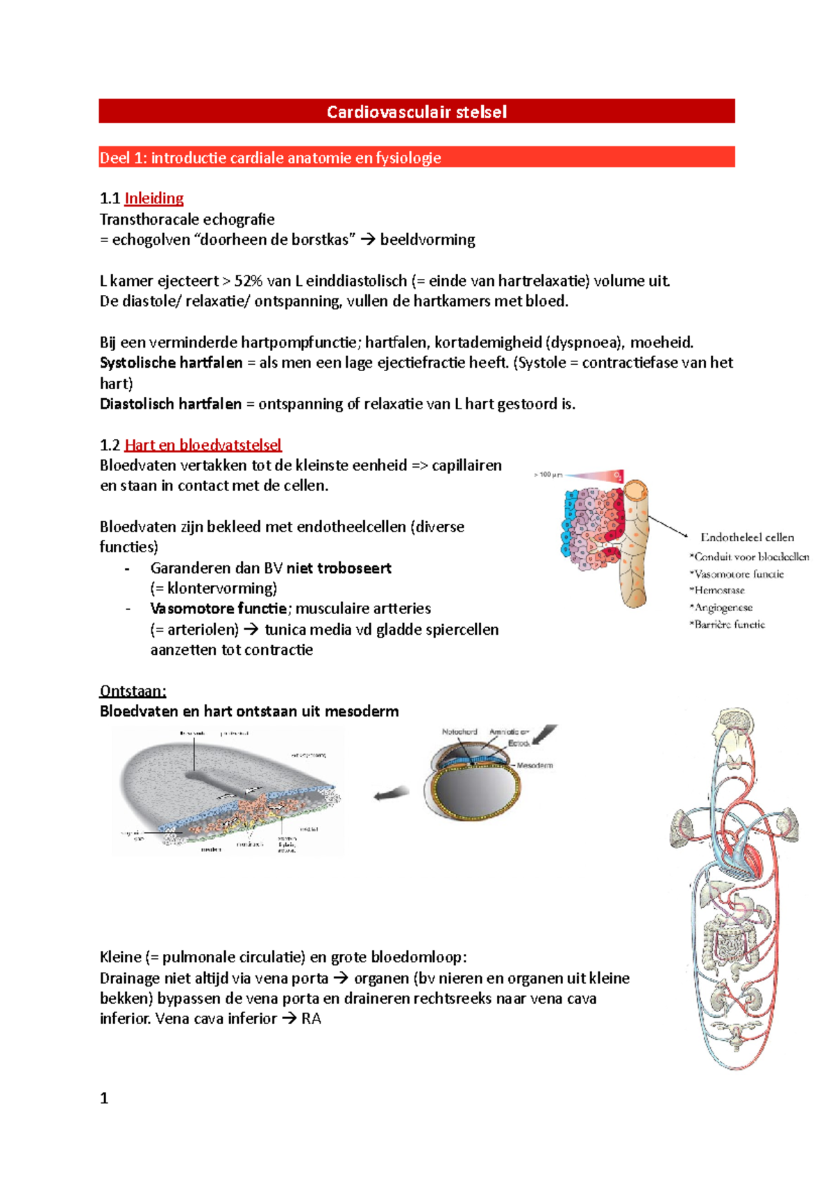 Cardiovasculair stelsel H1 - Cardiovasculair stelsel Deel 1: introductie cardiale anatomie en ...