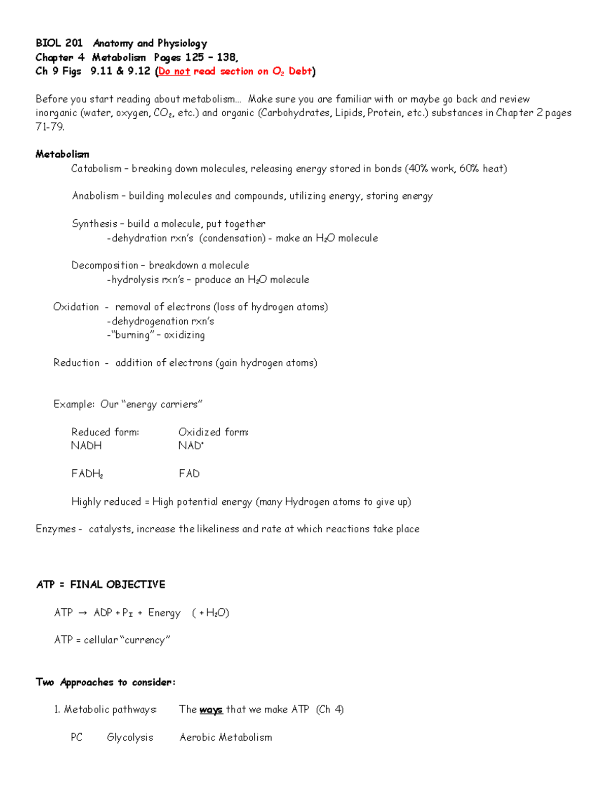 Ch 4 Metabolism - BIOL 201 Anatomy and Physiology Chapter 4 Metabolism ...