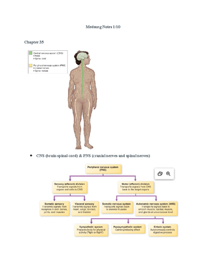 [Solved] TRAUMATIC BRAIN CLOSED INJURY FALL PTA SDH WITH MIDLINE SHIFT ...