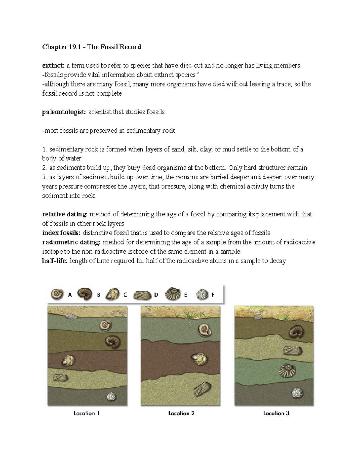 Chapter 19 Notes - Chapter 19 - The Fossil Record extinct: a term used ...