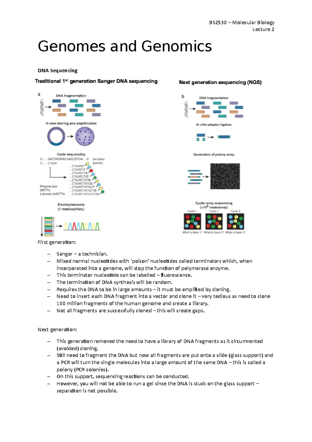 2 - Genomes and Genomics - BS2530 – Molecular Biology Lecture 2 Genomes ...