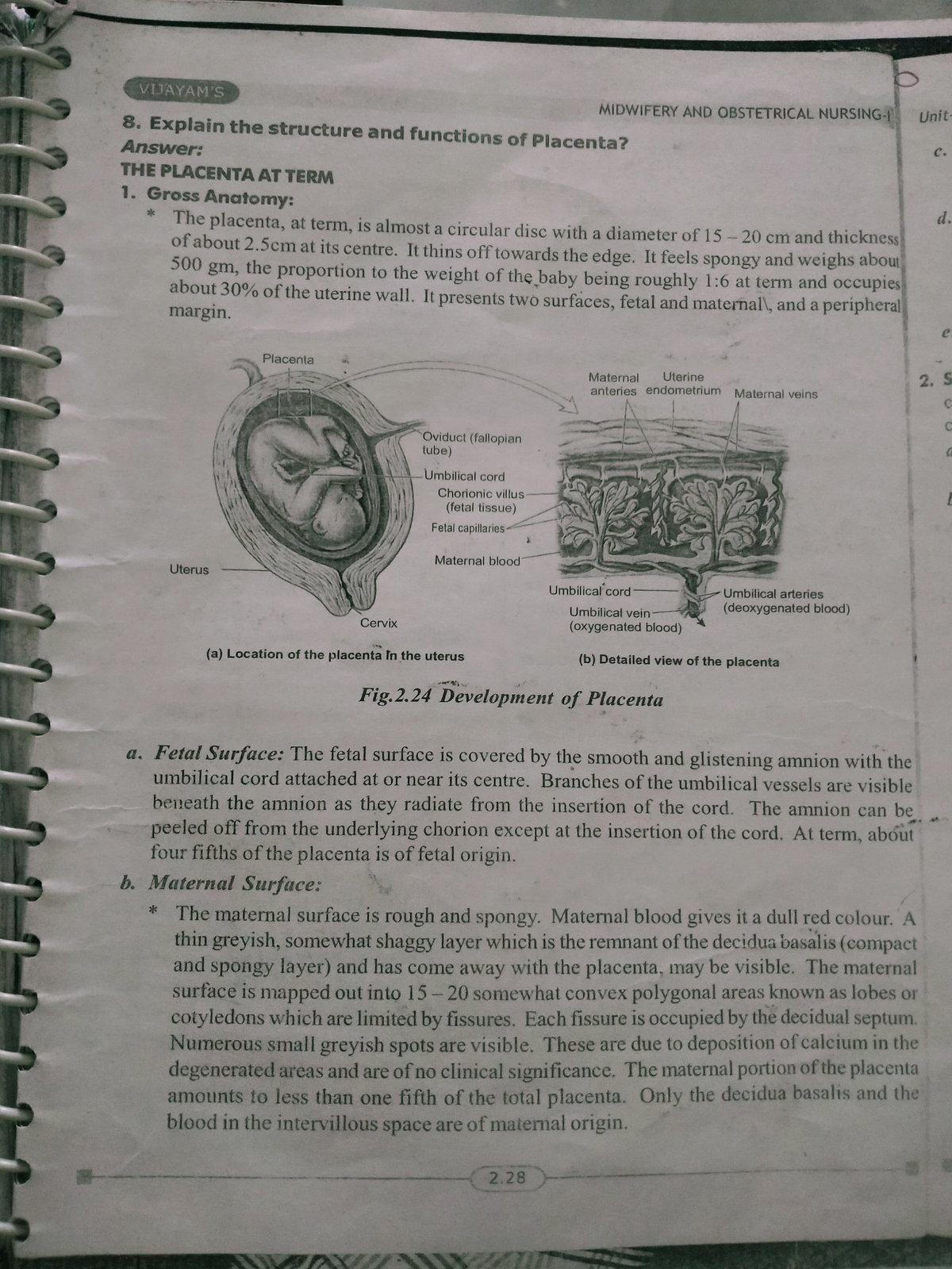 Placenta :structure and functions, obstetrical nursing - Medical And ...