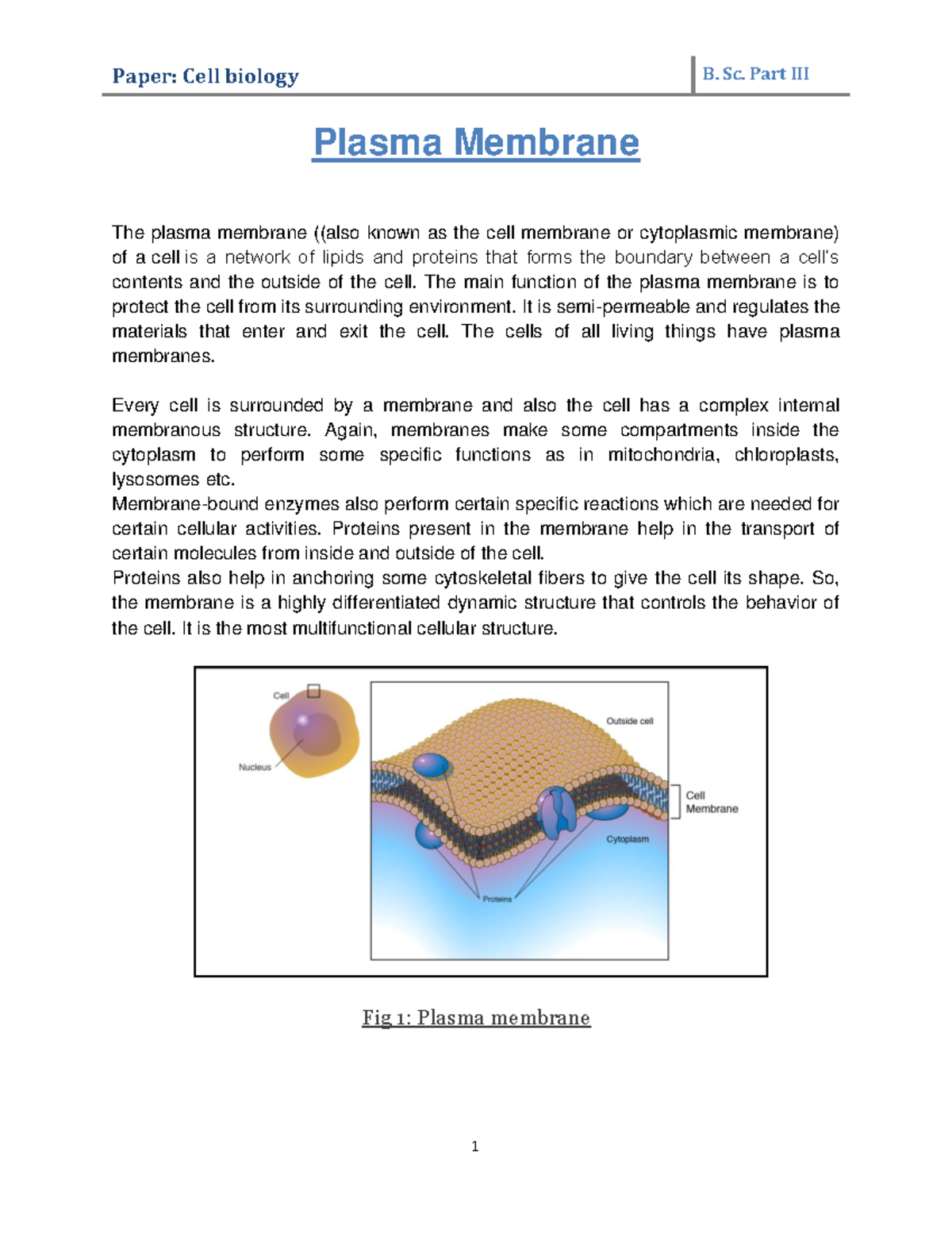 Plasma-Membrane - Lecture Notes - Plasma Membrane The plasma membrane ...