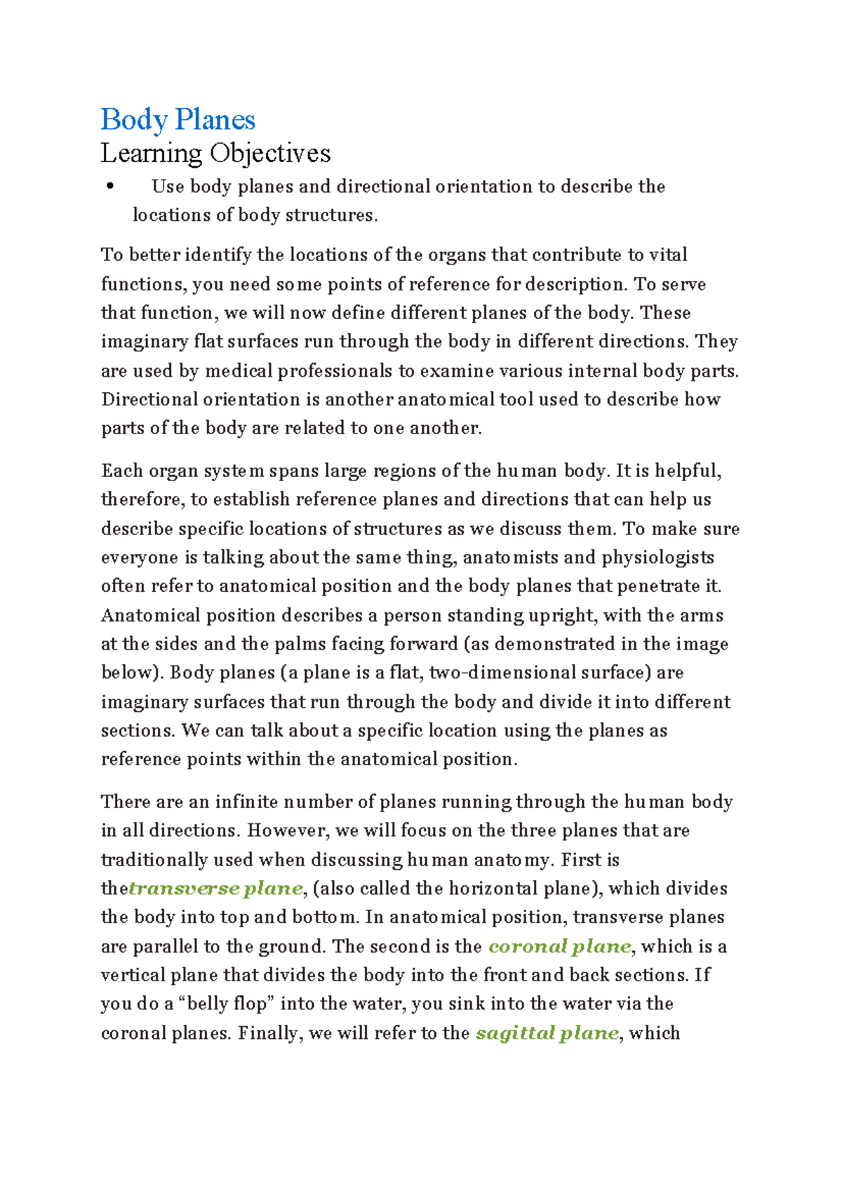 Body Planes - Body Planes Learning Objectives Use body planes and ...