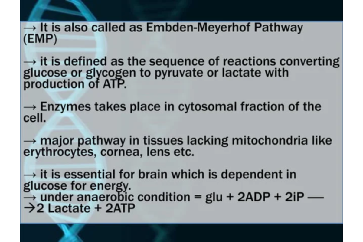 Group 1-assessment-test-pt-1 40 175 2021 - Senior High School - It is ...