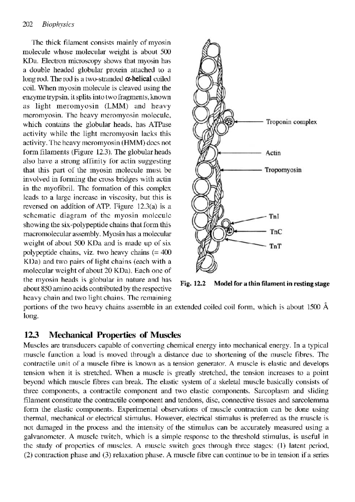 Mechanical properties of Muscles - Masters of science PHYSICS - Studocu