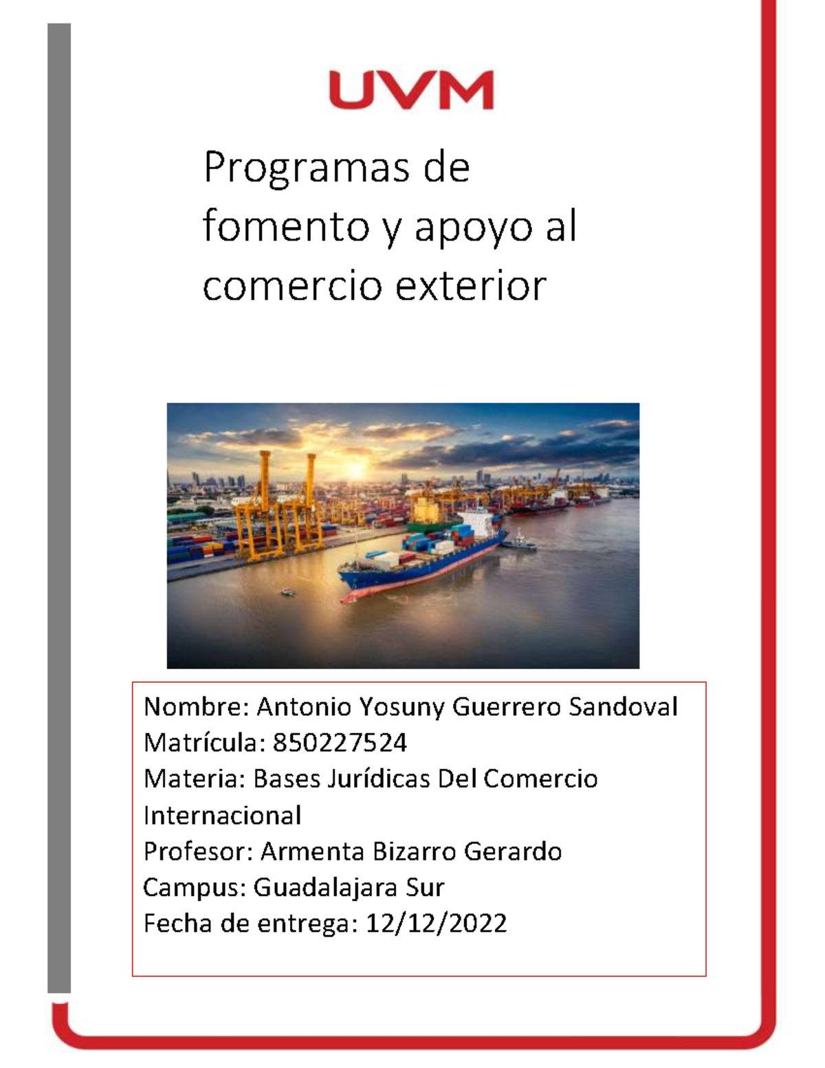 Programas de apoyo al comercio exterior AYGS - Programas de fomento y ...
