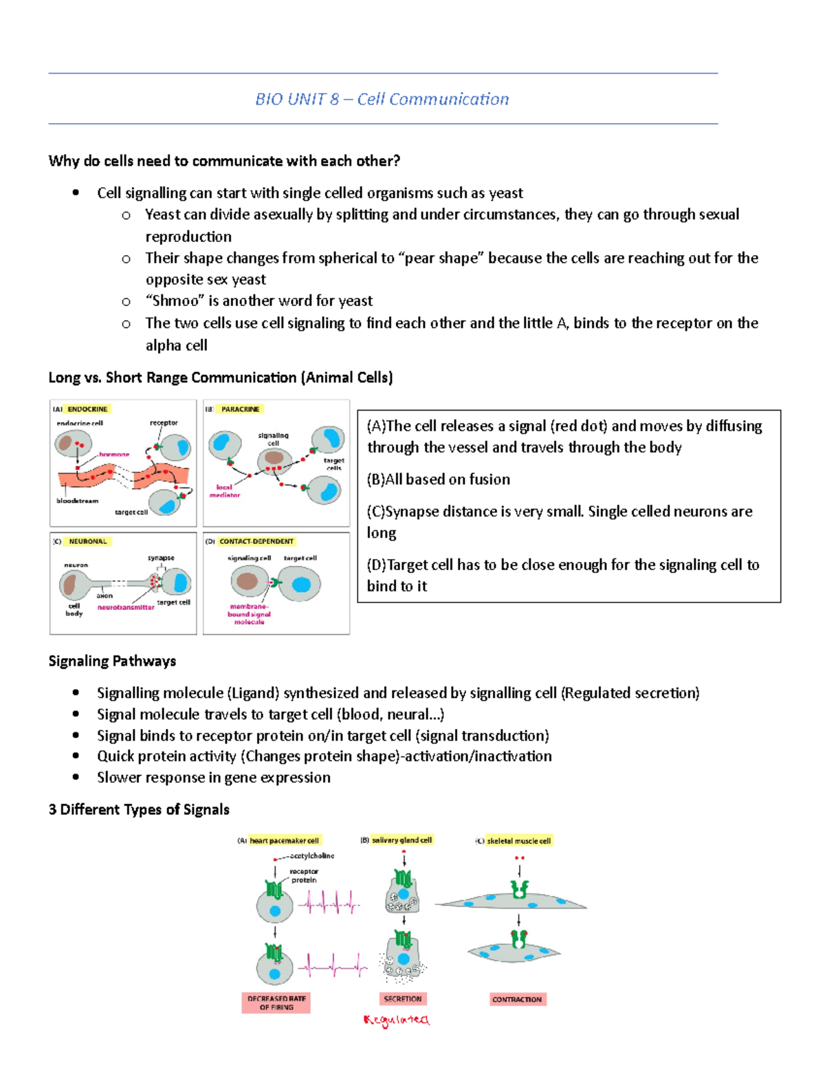 Bio unit 8 - Lecture notes 8 - BIO UNIT 8 – Cell Communication Why do ...