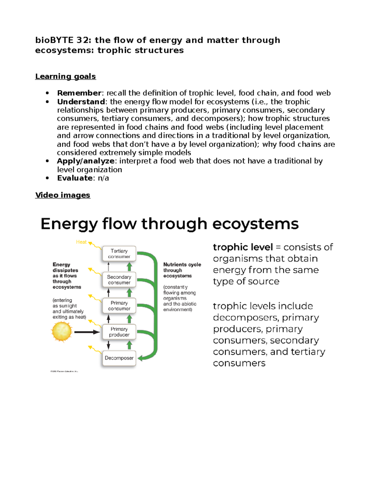 1802.Notes guide.bio BYTE 32 - bioBYTE 32: the flow of energy and ...