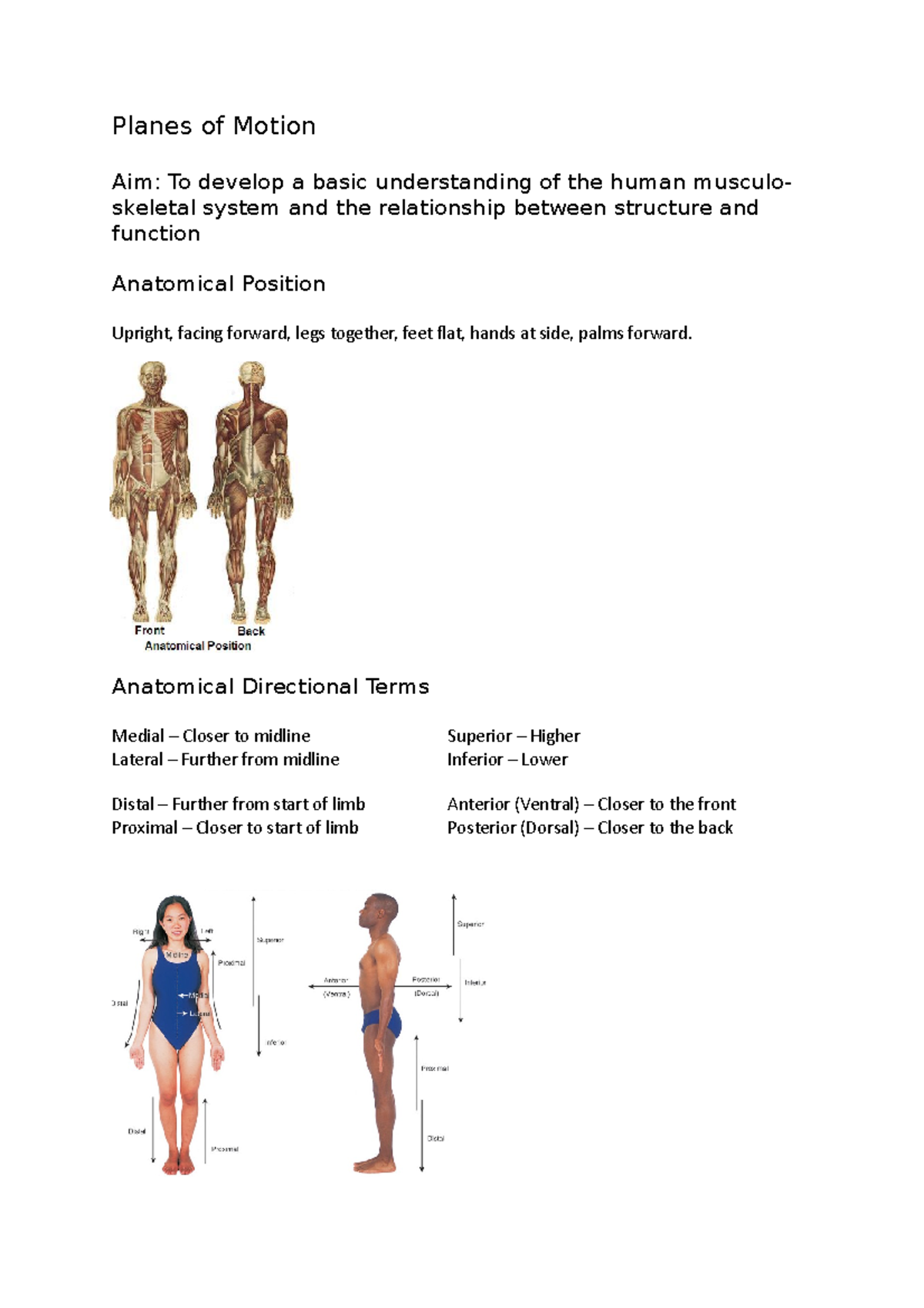 Planes of Motion - Planes of Motion Aim: To develop a basic ...