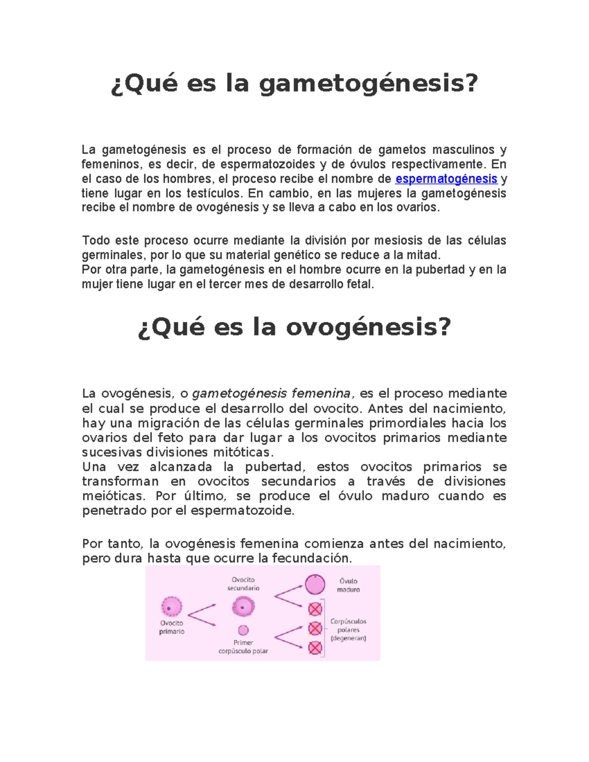 Qué es la gametogénesis - ¿Qué es la gametogénesis? La gametogénesis es el proceso de formación ...