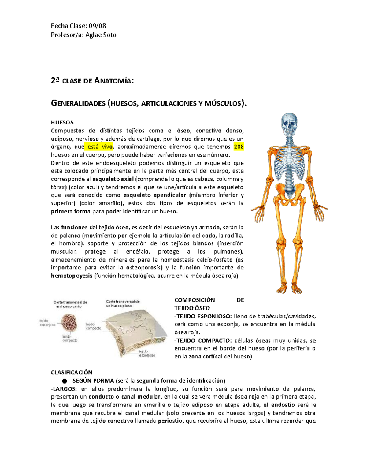 2. Anato-1 - Apuntes 1,3 - Profesor/a: Aglae Soto 2ª CLASE DE ANATOMÍA ...