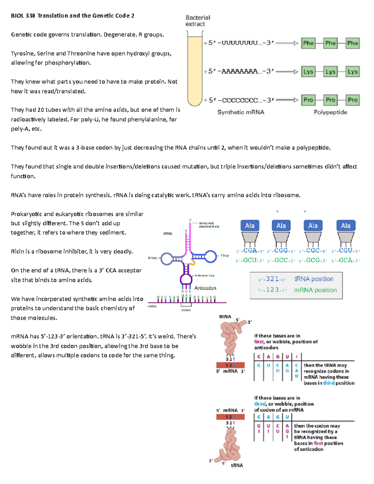 BIOL 330 Translation and the Genetic Code - Degenerate. R groups ...