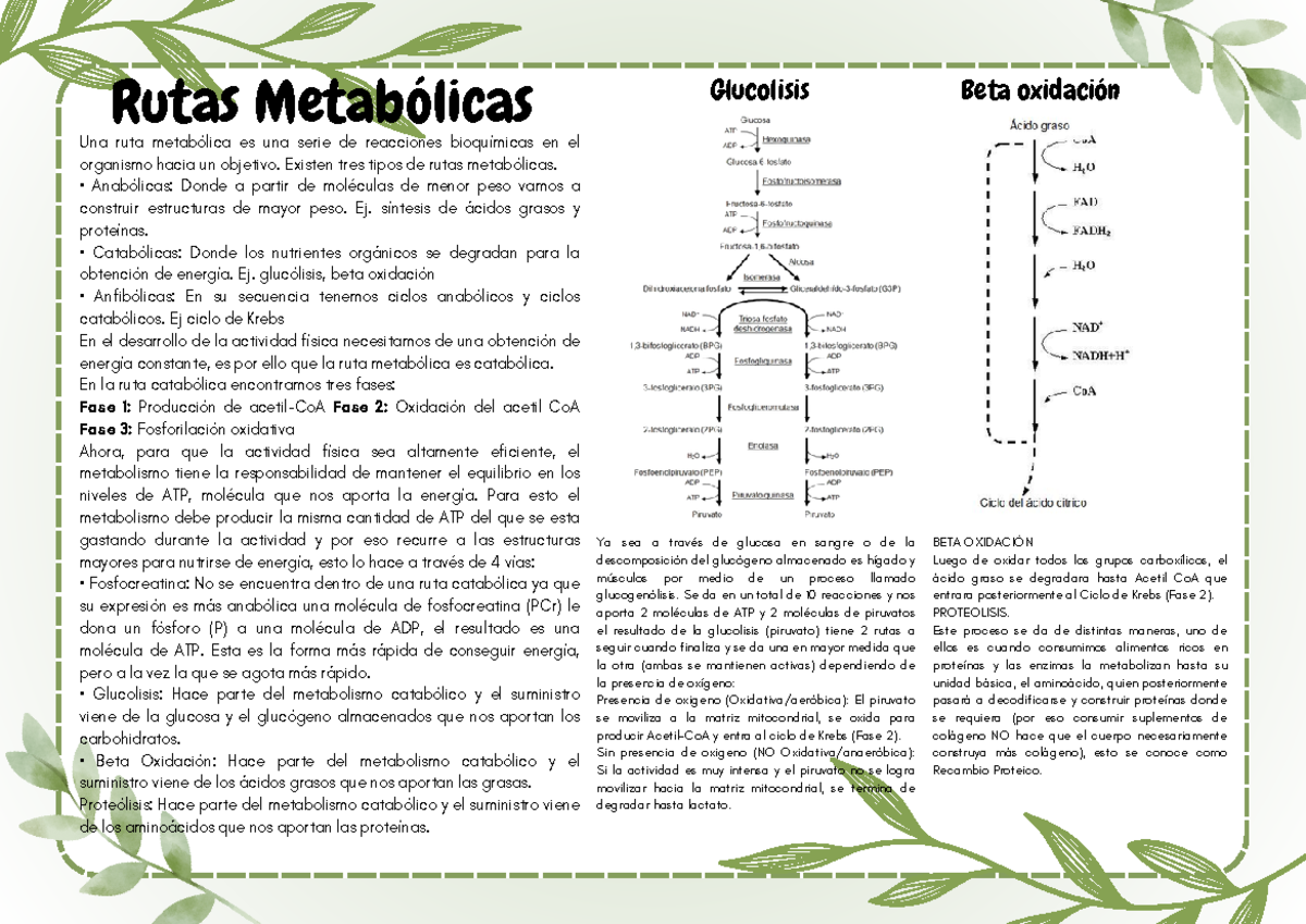 Pastel Playful Abstract Shape Blank Document Border - Rutas Metabólicas ...