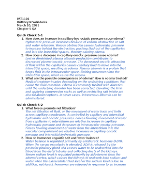 Chapter 19 Case Study - PAT Brittney N Valladares March 29, 2023 ...