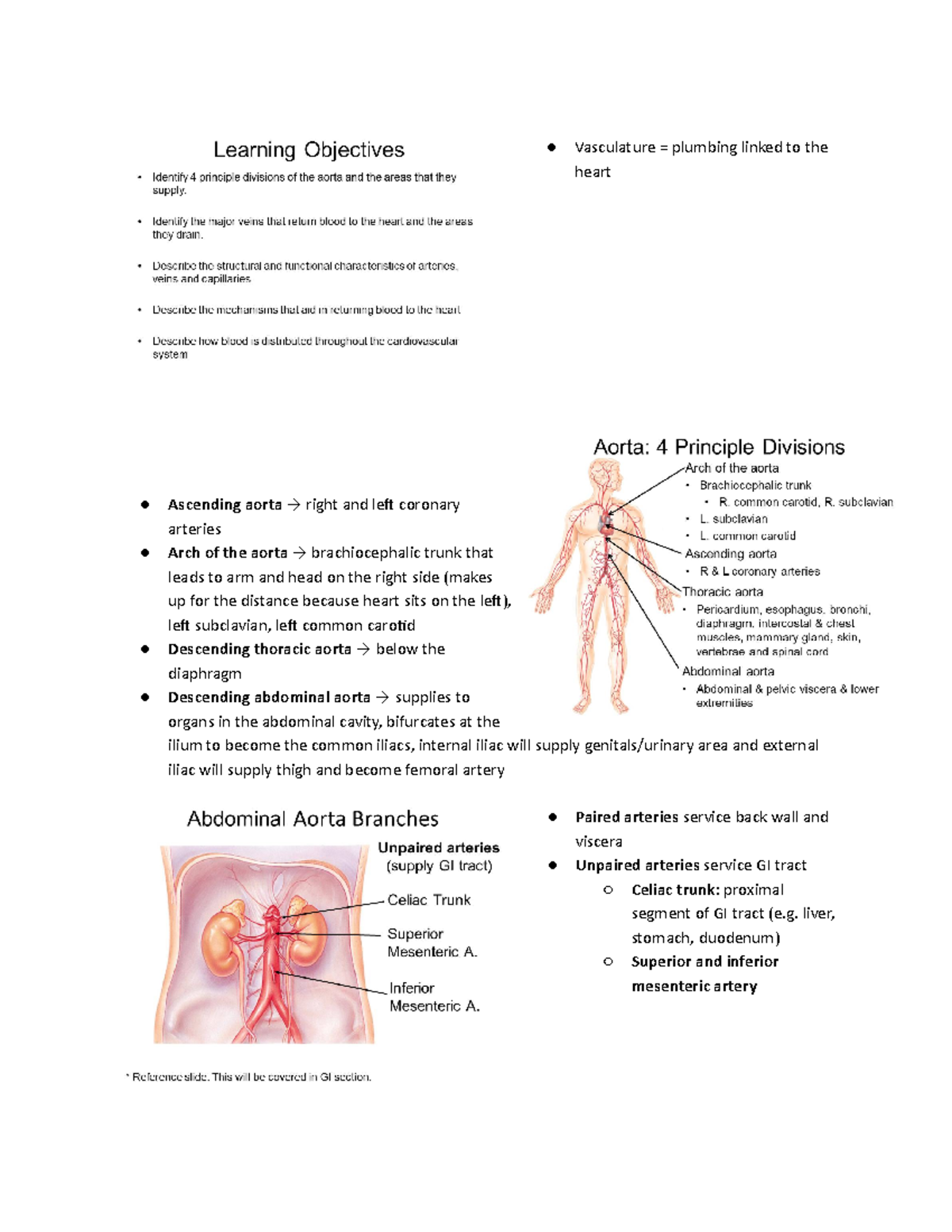 04- Vasculature - Lecture notes 4 - Hth Sci 1H06 - McMaster - Studocu