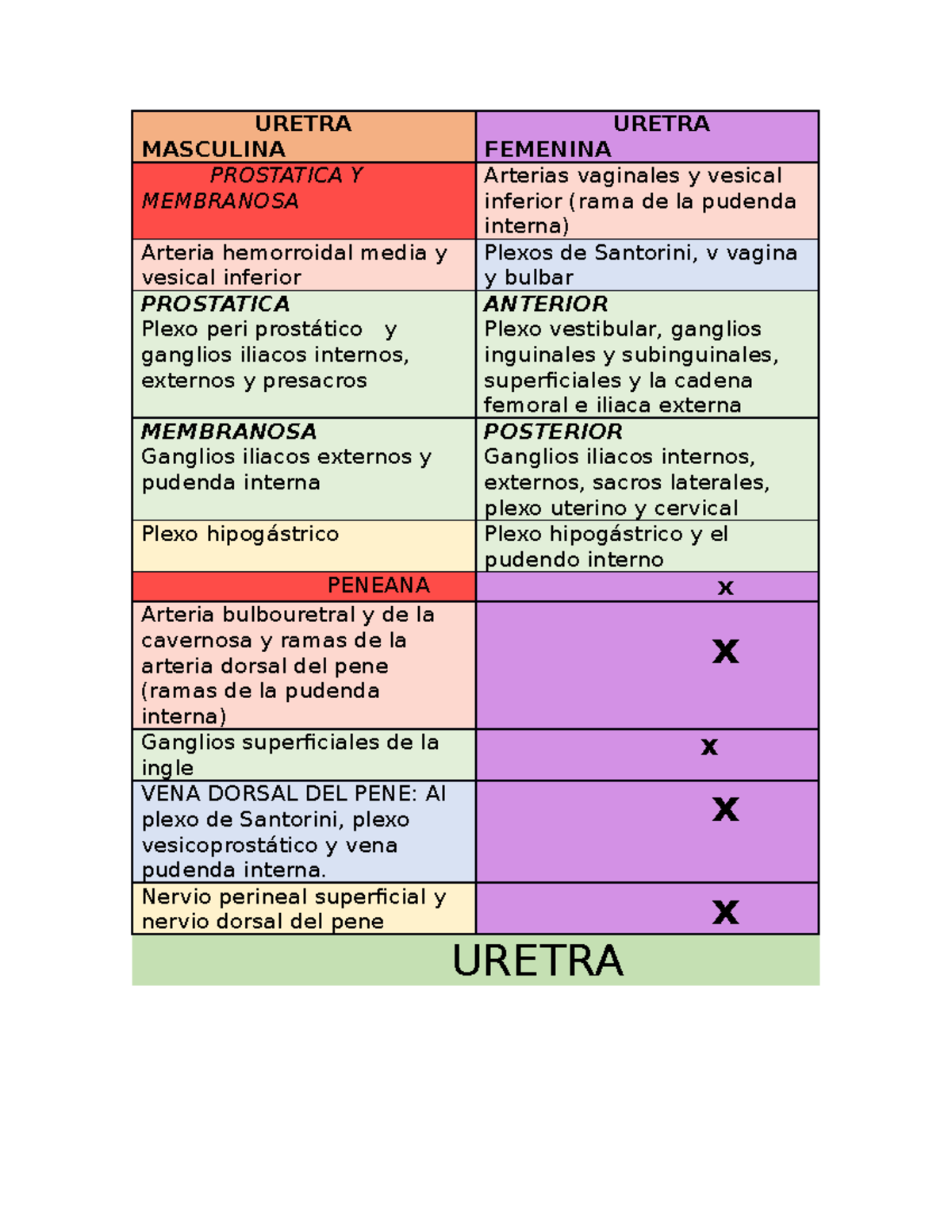 Uretra irrigacion tabla - URETRA MASCULINA URETRA FEMENINA PROSTATICA Y ...