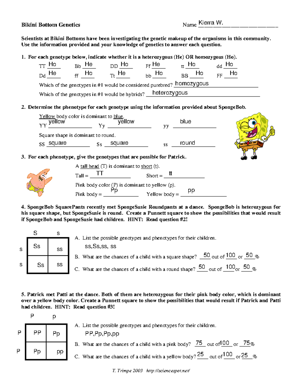Spongebob-genetics 2 - easy - T. Trimpe 2003 sciencespot/ Bikini Bottom ...