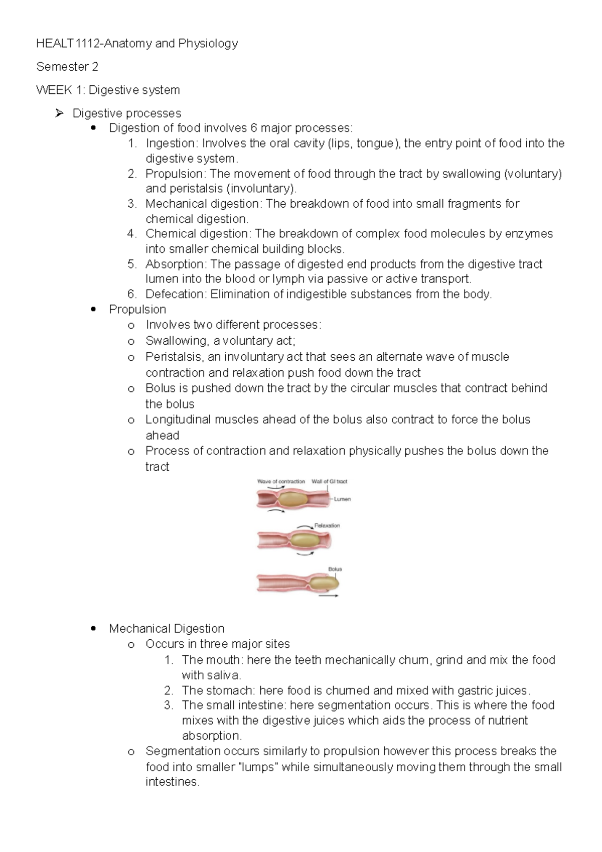 Week 1 & 2 notes - Week 1: Digestive System Week 2: Nutrition ...