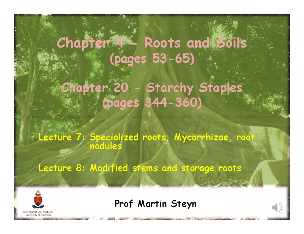 BOT161 Roots 2 - lecture notes - Chapter 4 - Roots and Soils (pages 53 ...