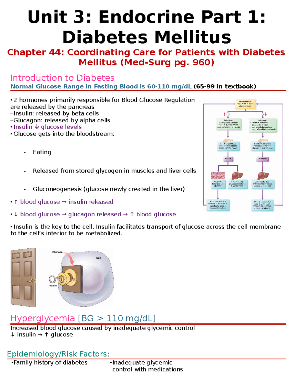 Unit 3 Diabetes Notes - Unit 3: Endocrine Part 1: Diabetes Mellitus ...
