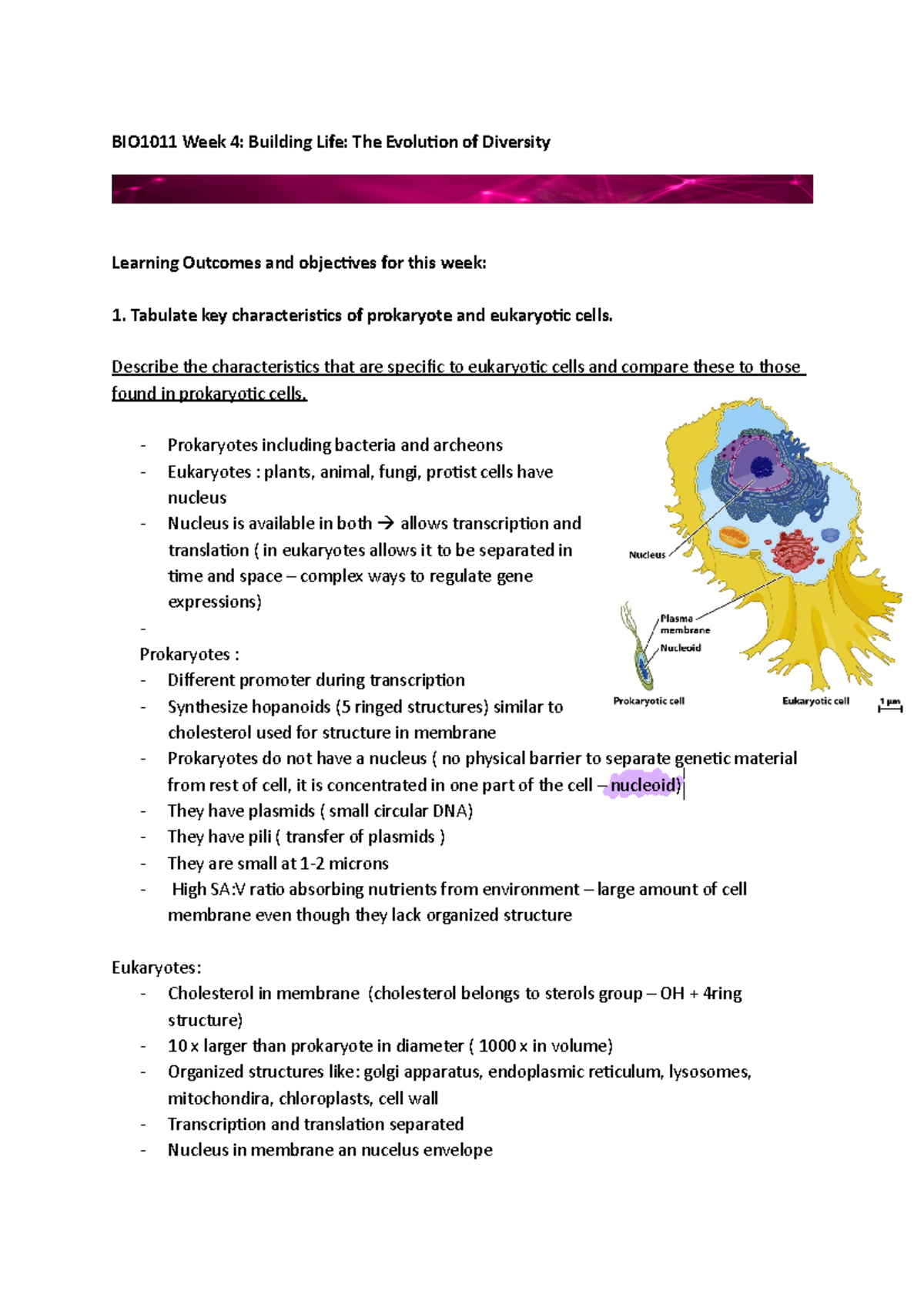 Week 4 Study Guide - Lecture notes 4 - BIO1011 Week 4: Building Life ...