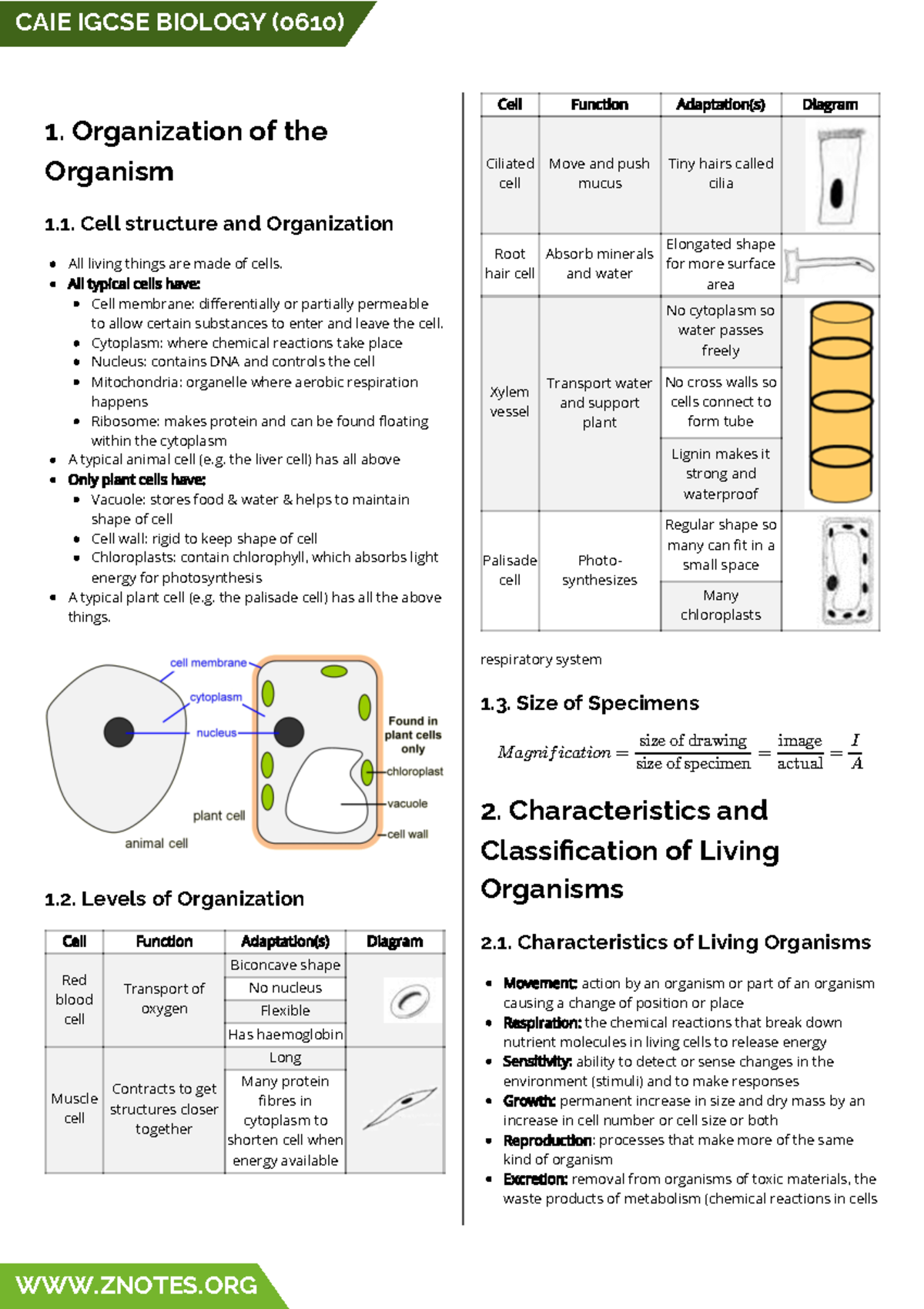 Caie igcse biology 0610 theory v1 - CAIE IGCSE BIOLOGY (0610) Cell ...